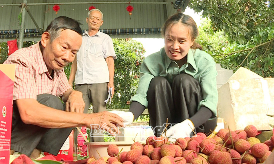 fun88.ninja Hưng Yên vào cuối vụ - Báo Hưng Yên điện tử